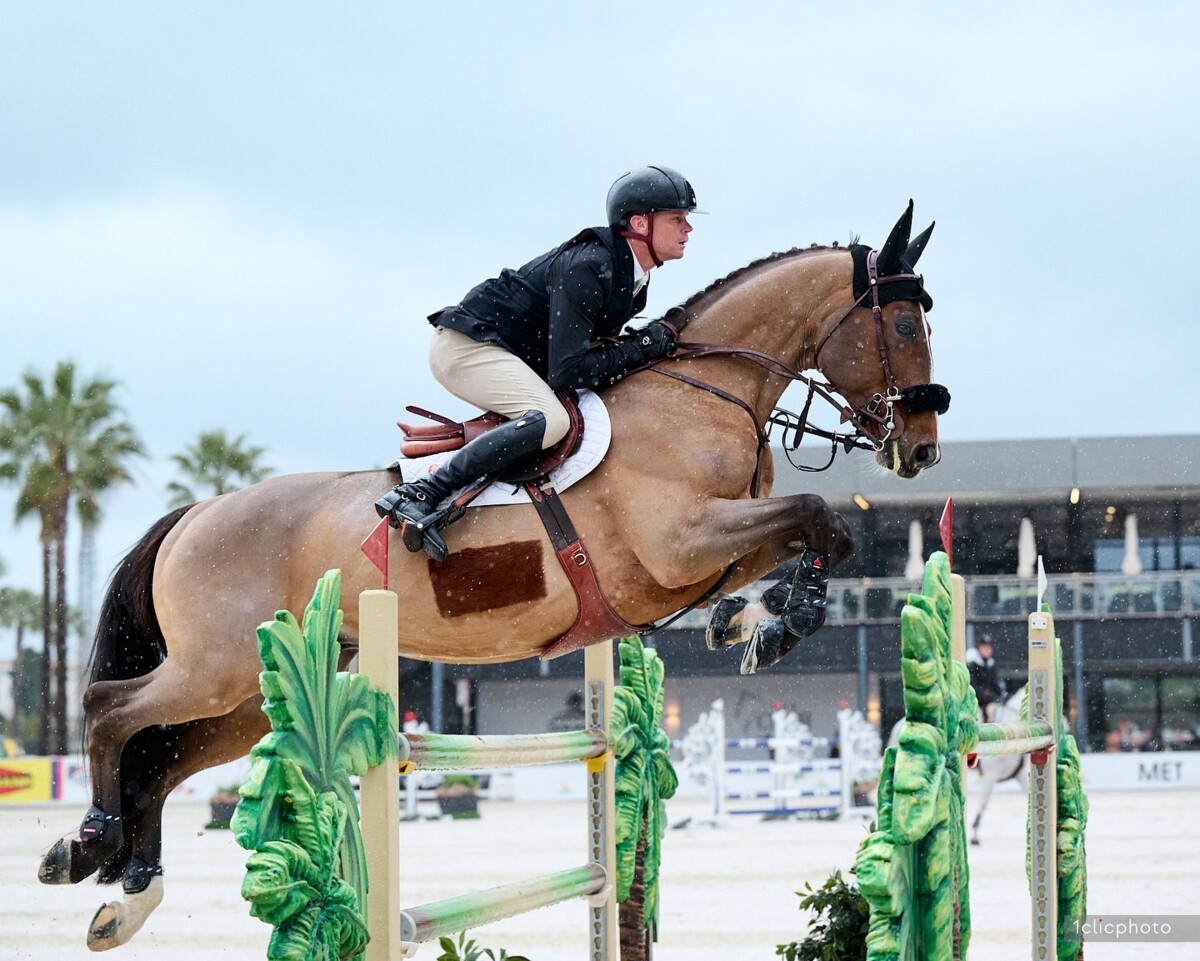 Galop.be - Opnieuw podiumplaats voor Jérôme Guery in Oliva