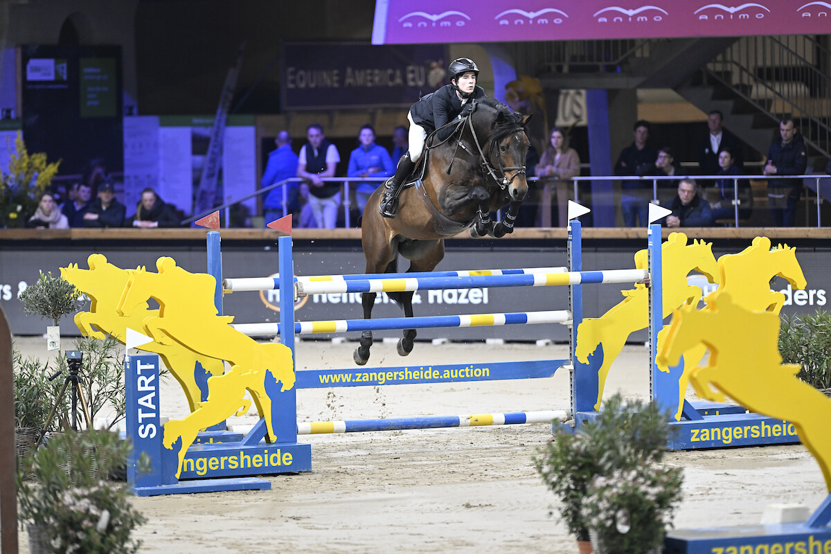 Galop.be - Thibeau Spits springt in de prijzen in Parijs