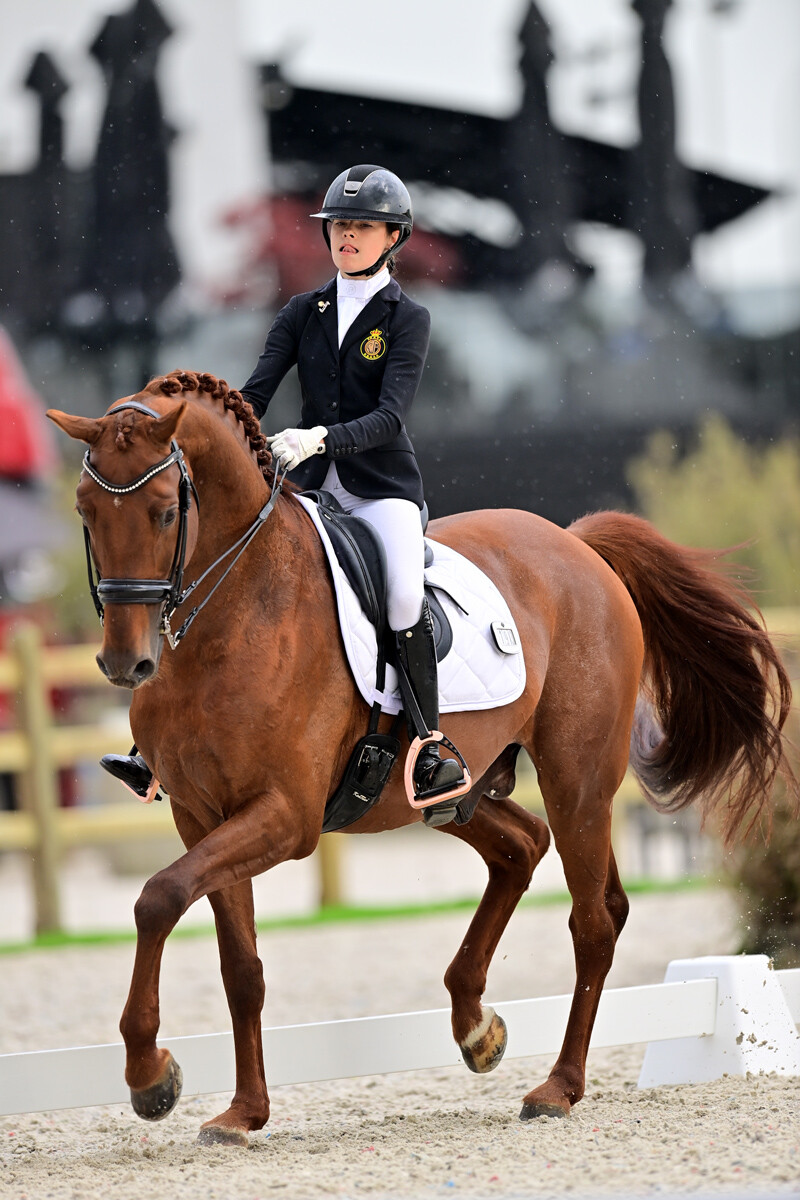Galop.be - Anna Peeters knap 2de bij CDI Juniors