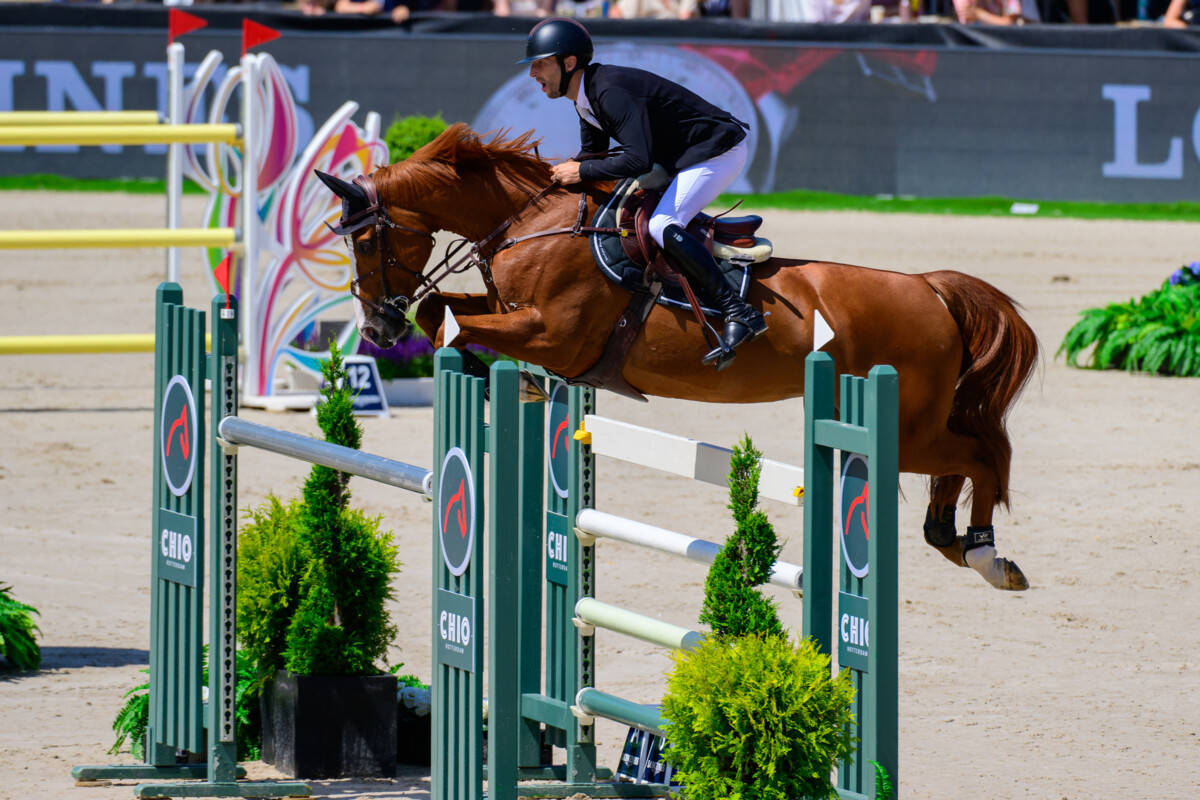 Galop.be - Pieter Devos triomfeert in hoofdrubriek van Rotterdam!