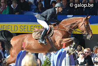 Galop.be - Cyclus: Dayro zwaait de plak in Hasselt